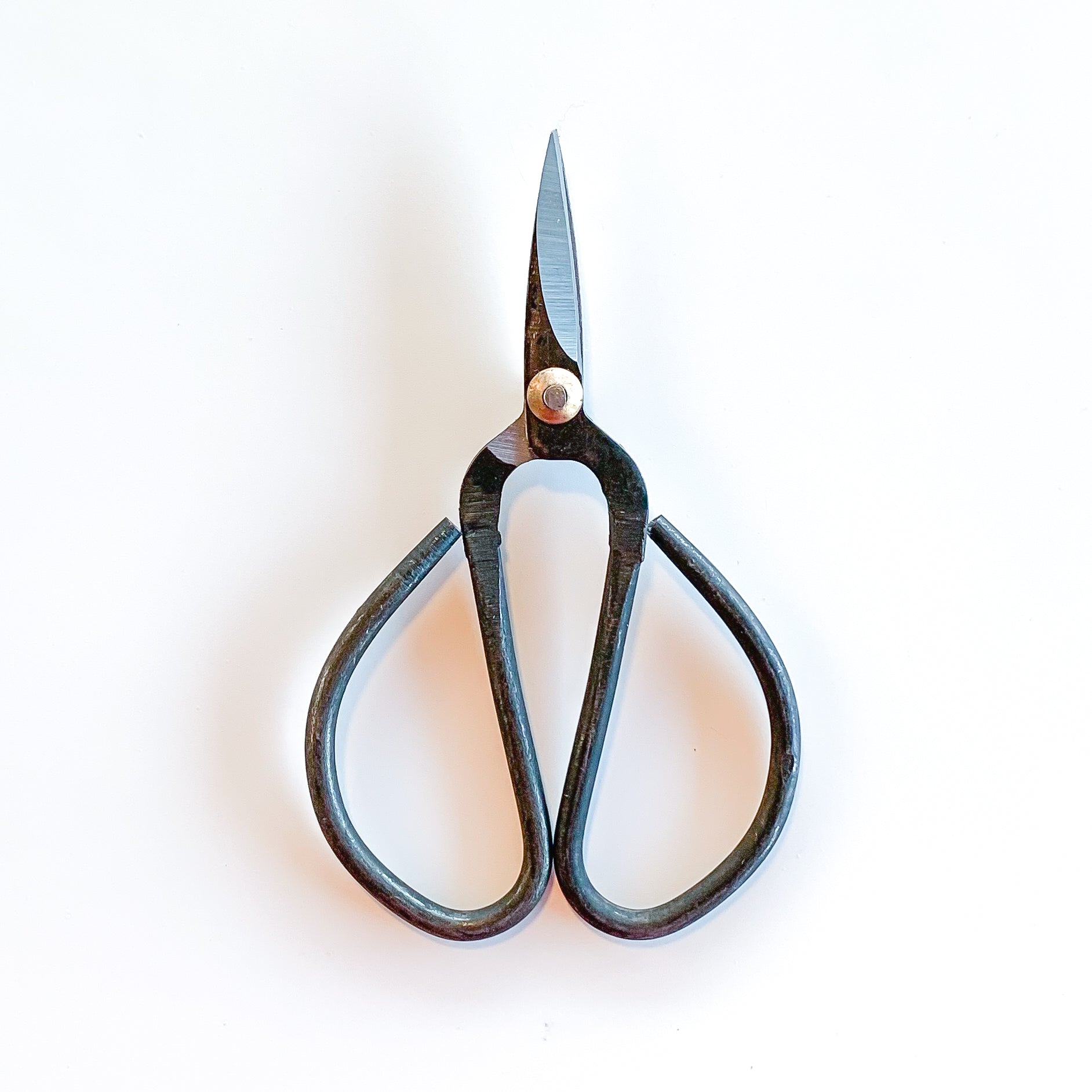 Scissors – Black Squirrel Yarns