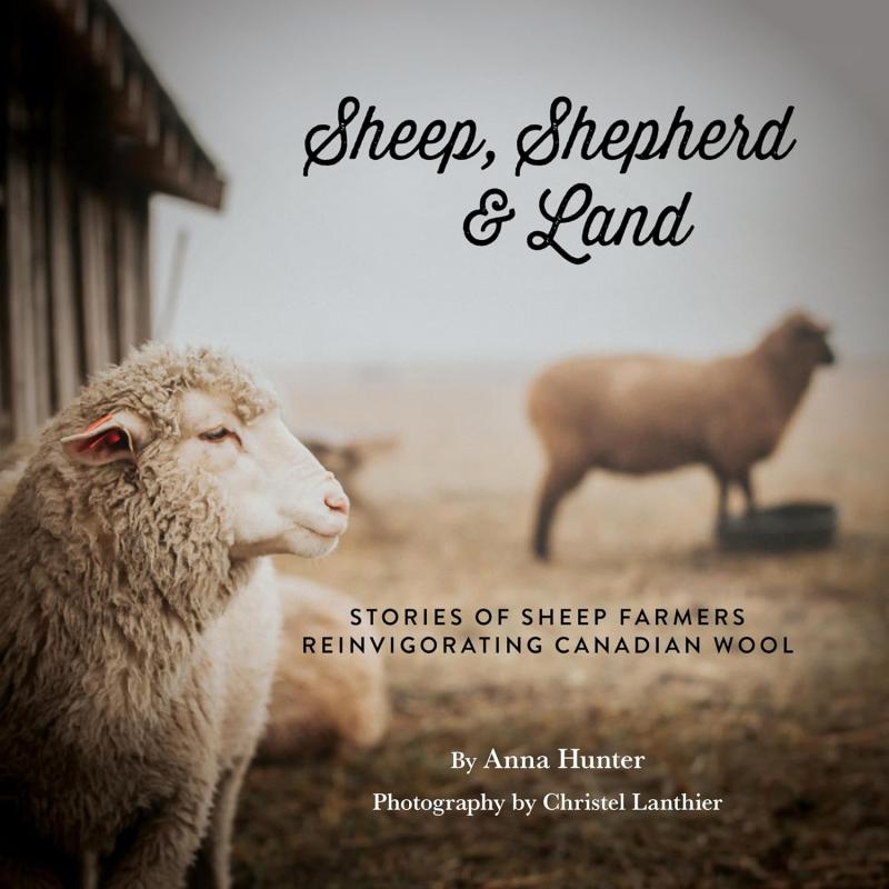 Sheep, Shepherd & Land – Black Squirrel Yarns